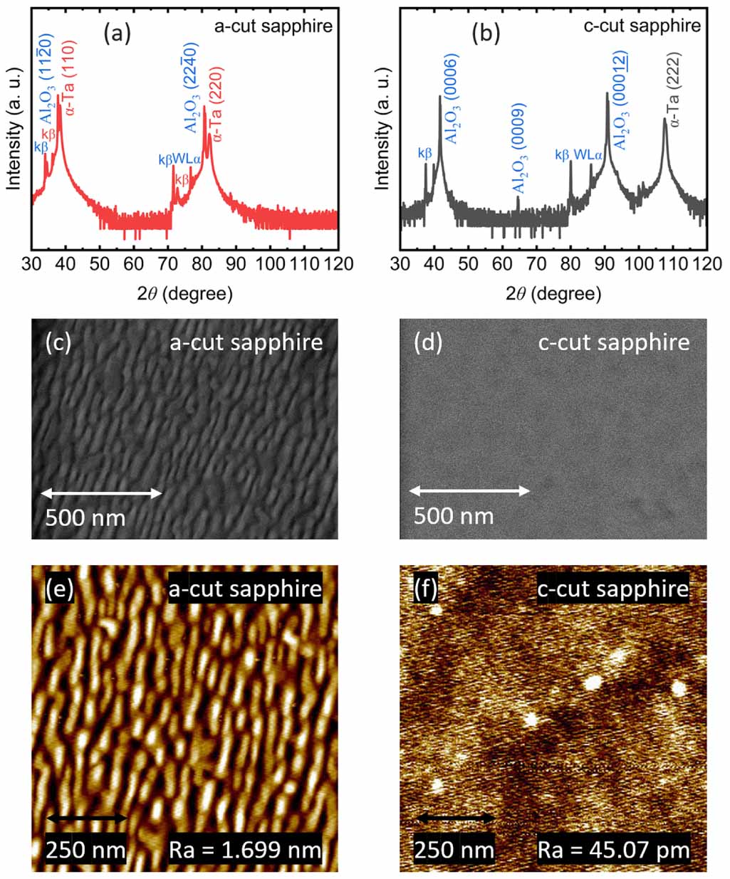 Magnetic ac susceptibility of superconducting Ta films for quantum ...