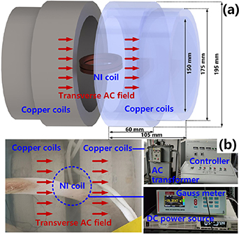 Study of the demagnetization behavior of no-insulation persistent ...