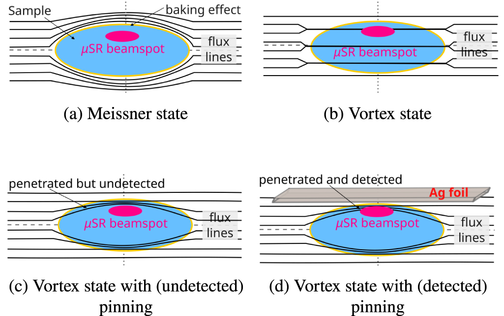 Measurements of the first-flux-penetration field in surface-treated and ...