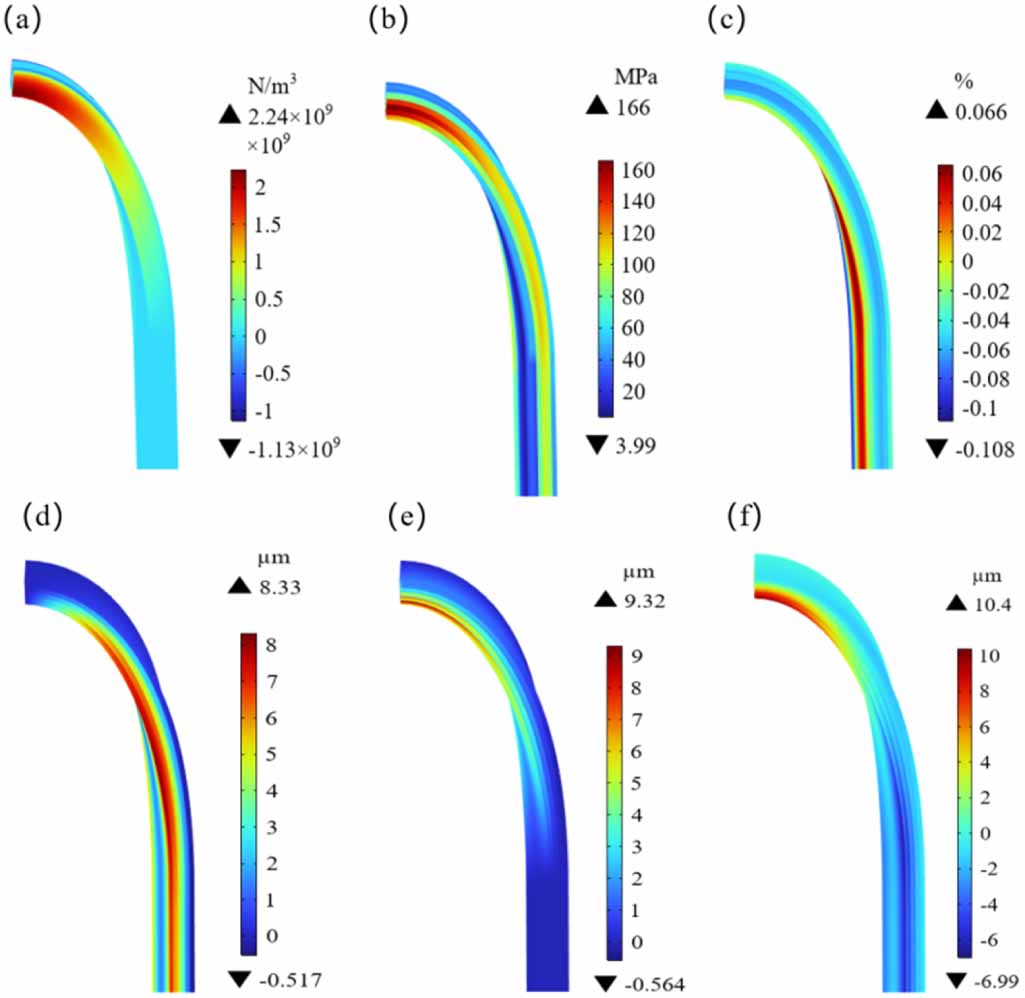 Investigation of screening current and SCIS effects on magnetic field ...