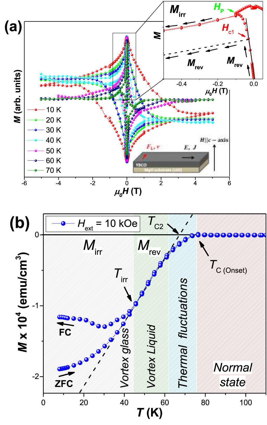 Vortex dynamics study on an uniaxially textured YBCO/MgO ...