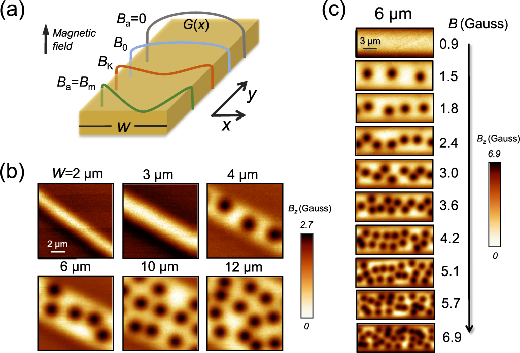 Vortex pattern transition in superconducting strips: from 1D to 2D ...