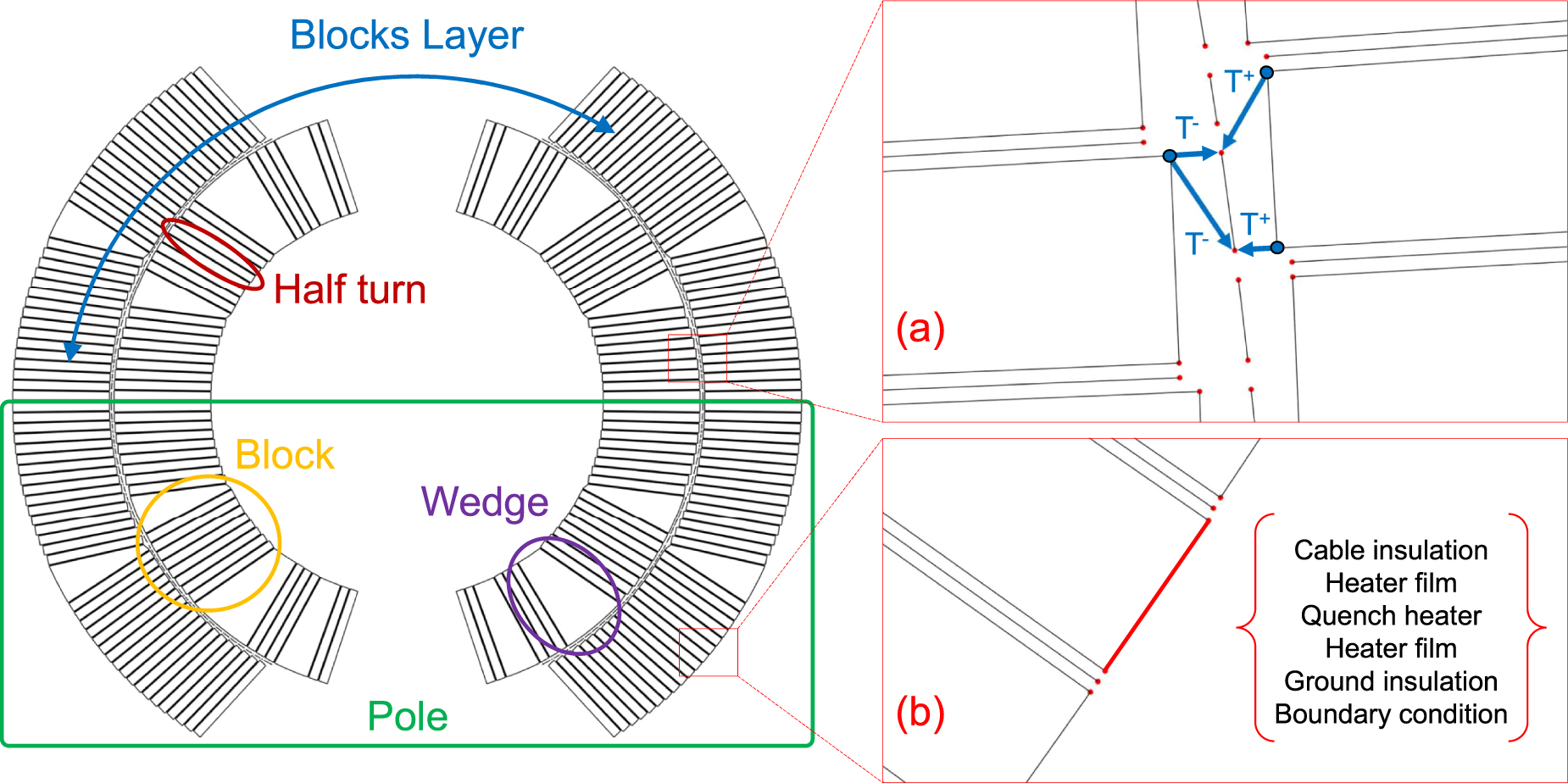 Transient finite element simulation of accelerator magnets using ...