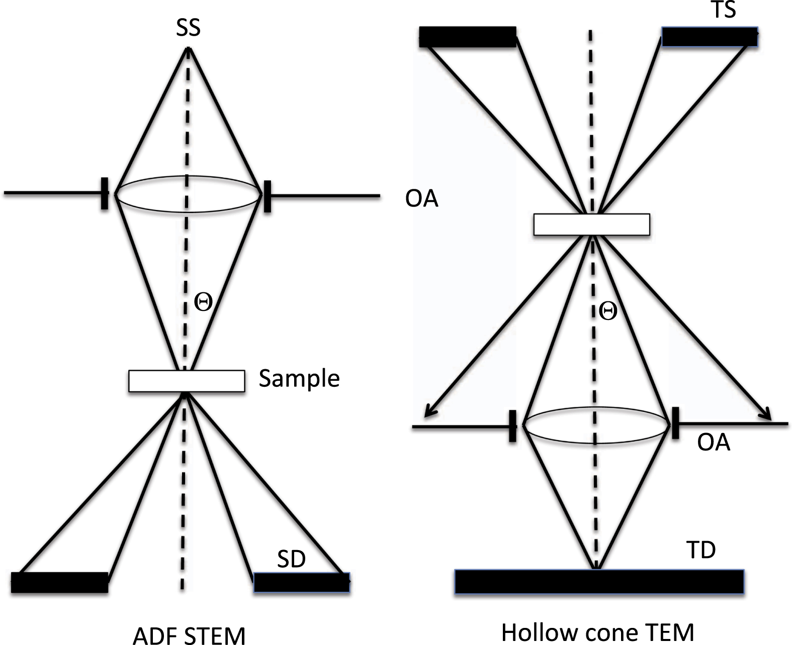 Hollow cone illumination for fast TEM, and outrunning damage with ...