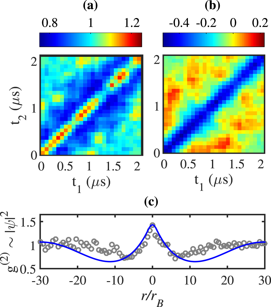Nonlinear quantum optics mediated by Rydberg interactions - IOPscience