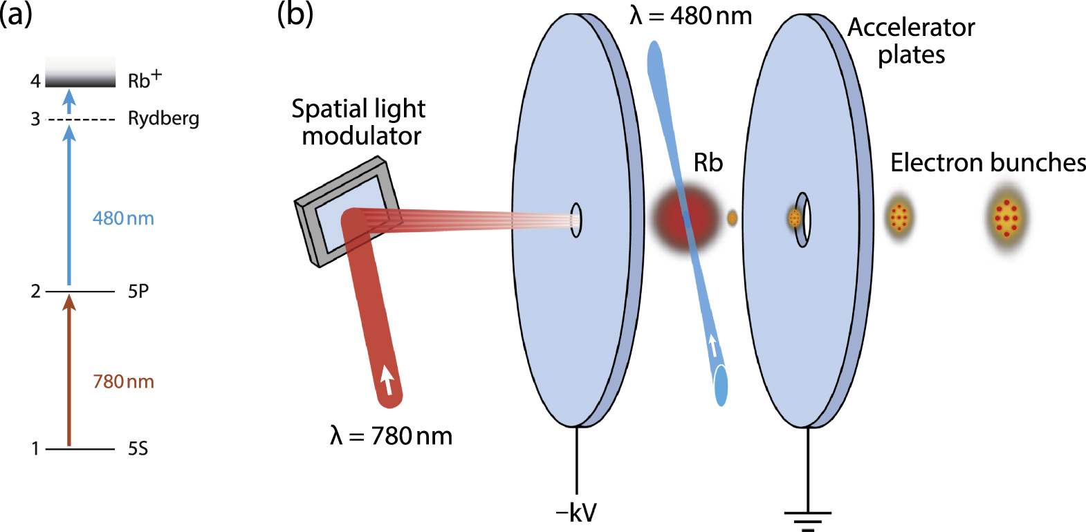 Cold electron sources using laser-cooled atoms - IOPscience