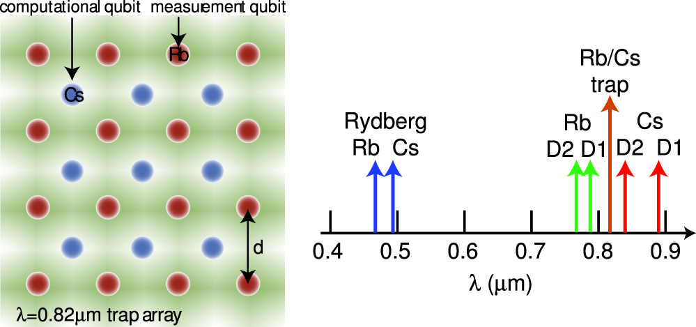 Quantum computing with atomic qubits and Rydberg interactions: progress ...