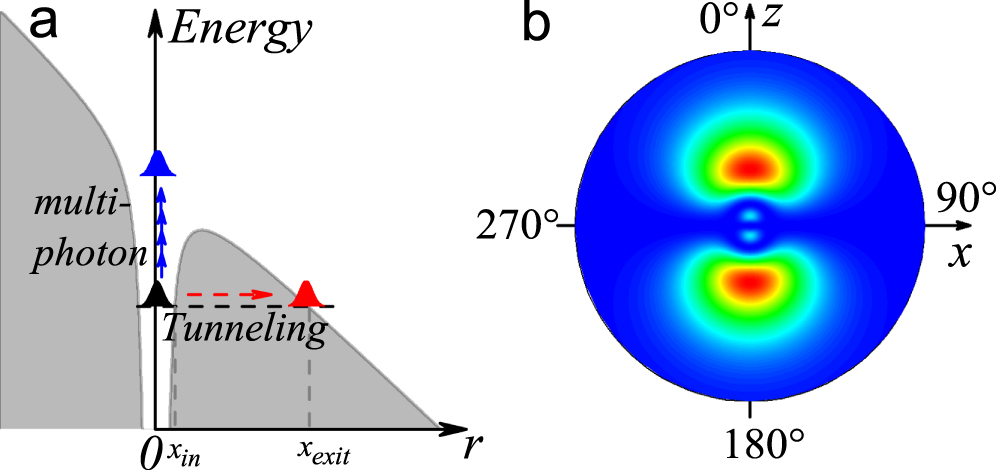 Investigating tunneling process of atom exposed in circularly polarized ...