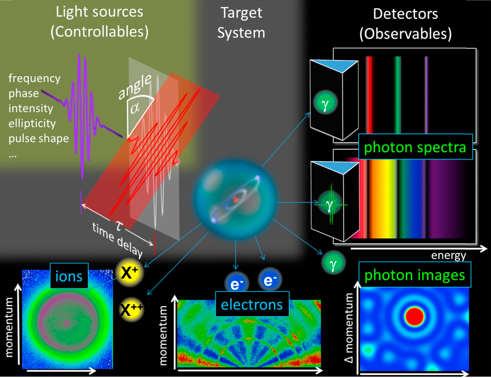 Roadmap on photonic, electronic and atomic collision physics: I. Light ...