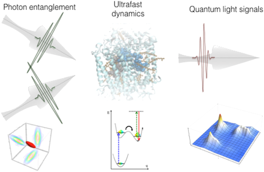 Roadmap on quantum light spectroscopy - IOPscience