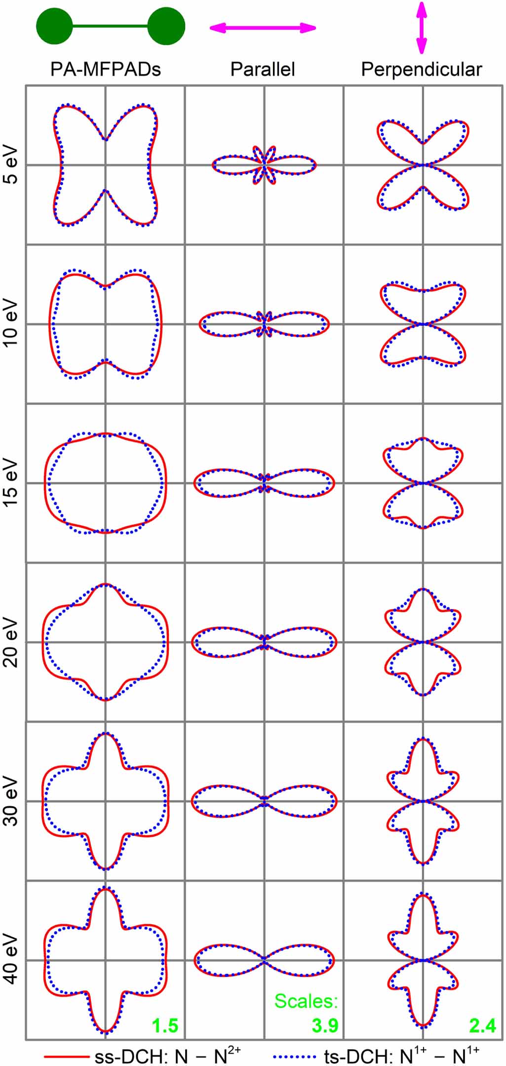 Molecular-frame photoelectron angular distributions during double core-hole generation in and ...