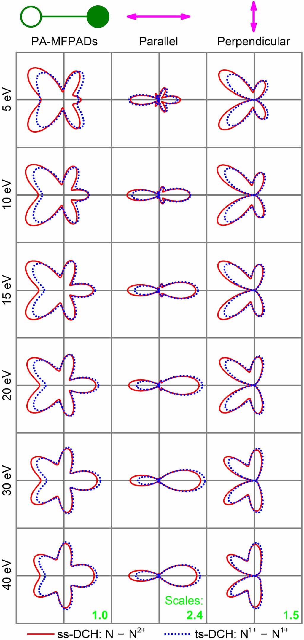 Molecular-frame photoelectron angular distributions during double core ...