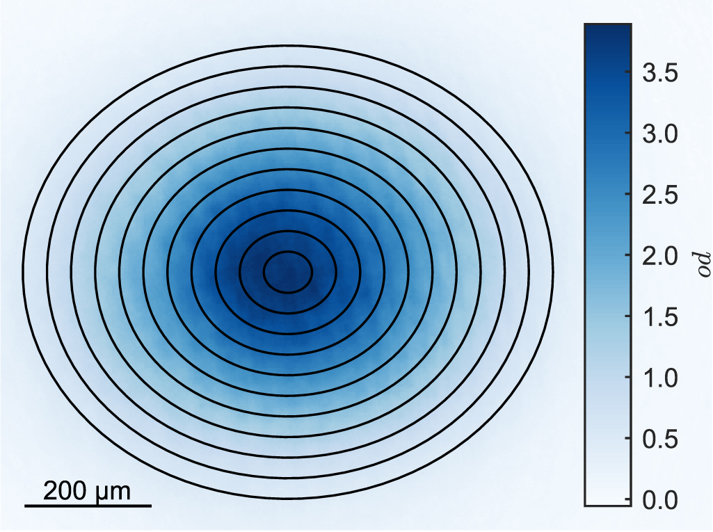 Spatial calibration of high-density absorption imaging - IOPscience
