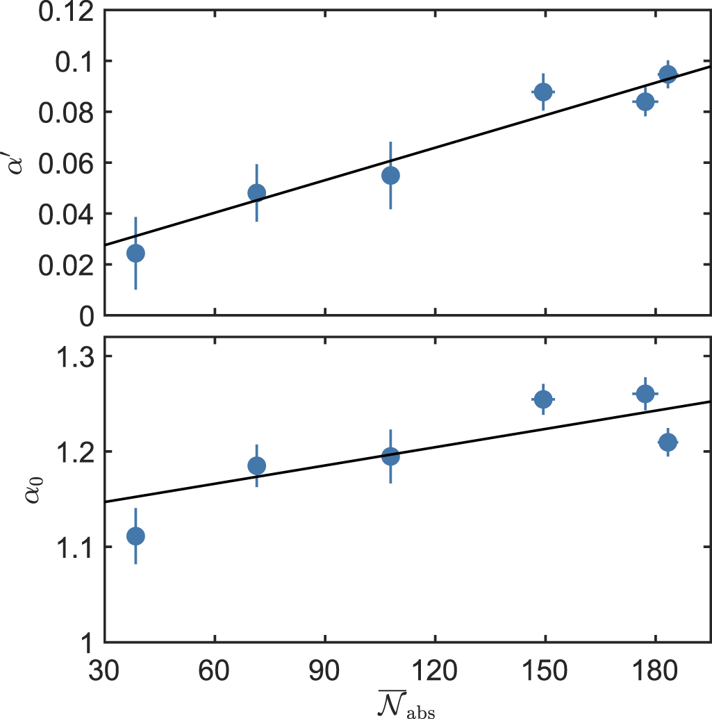 Spatial calibration of high-density absorption imaging - IOPscience