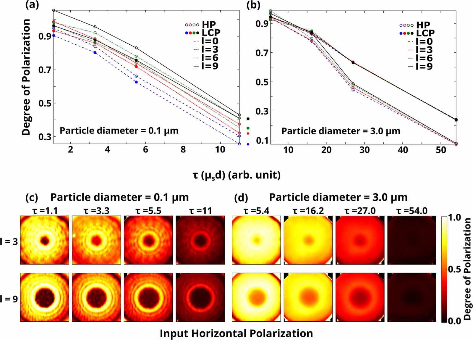 Exploring the origin of stronger survival of polarized vortex beams ...