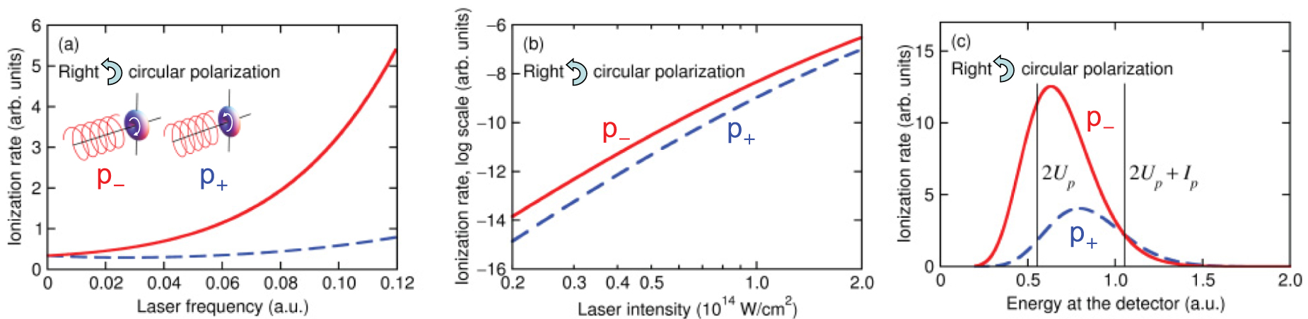 Strong field-induced quantum dynamics in atoms and small molecules ...