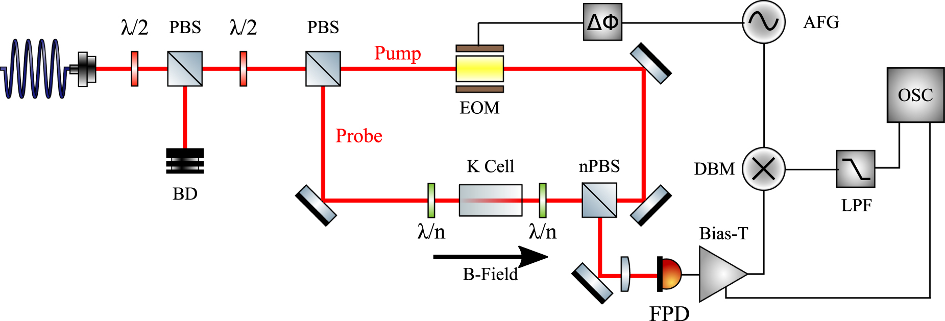 Modulation transfer spectroscopy of the transition of potassium: theory ...