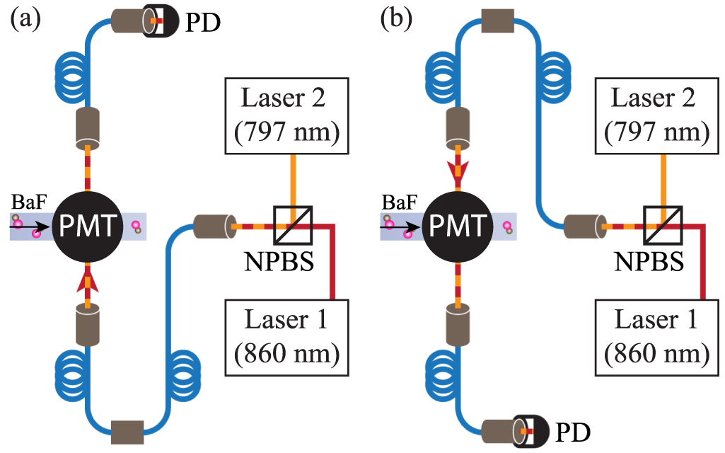 A method to determine the phase-space distribution of a pulsed ...