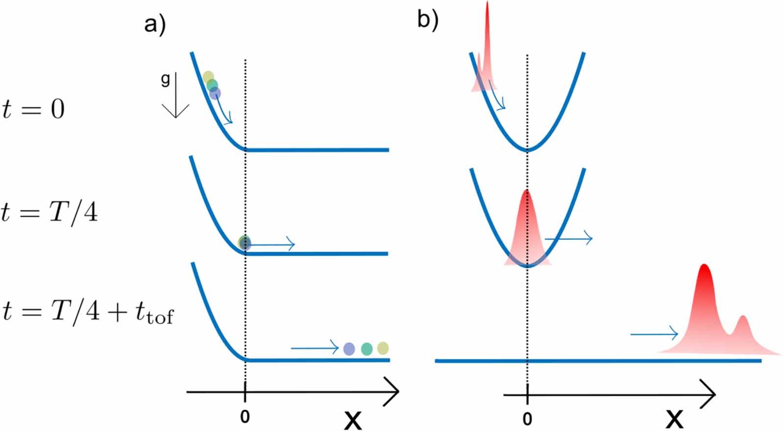 Quantum gas magnification of ultracold atoms in optical lattices ...