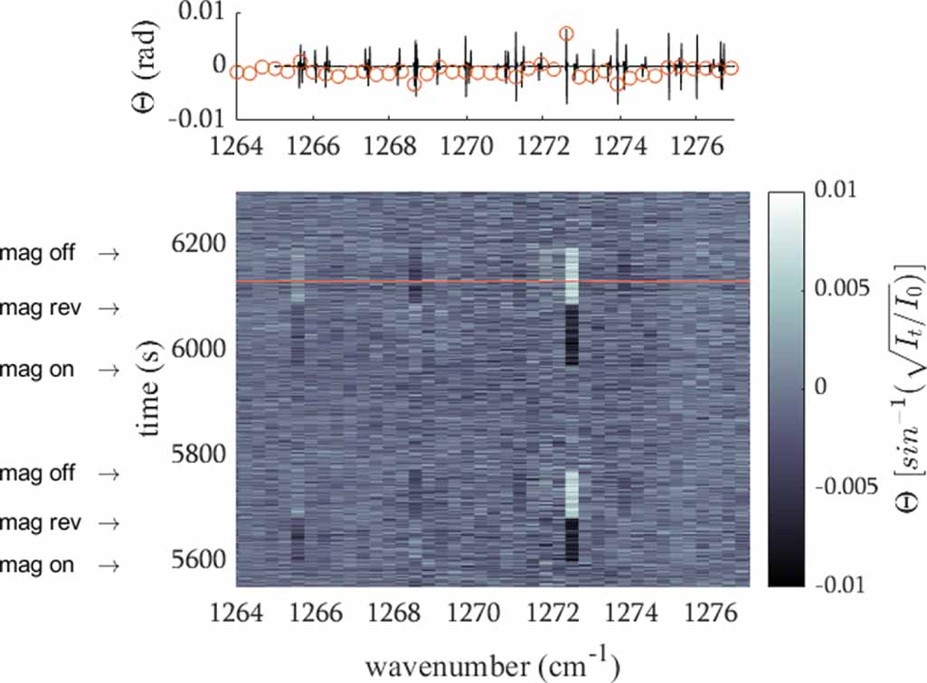 Simultaneous mid-infrared quantum cascade laser dual comb Faraday ...