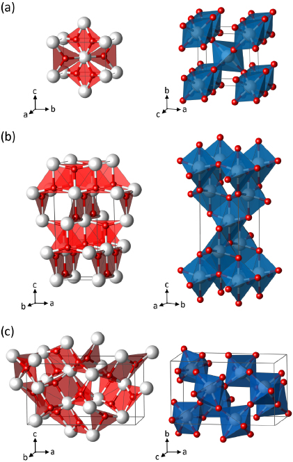The electronic structure and optical response of rutile, anatase and ...