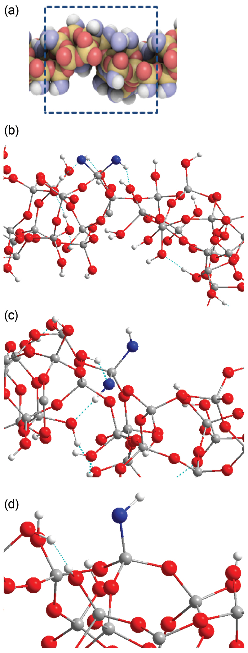 The amorphous silica–liquid water interface studied by ab initio ...