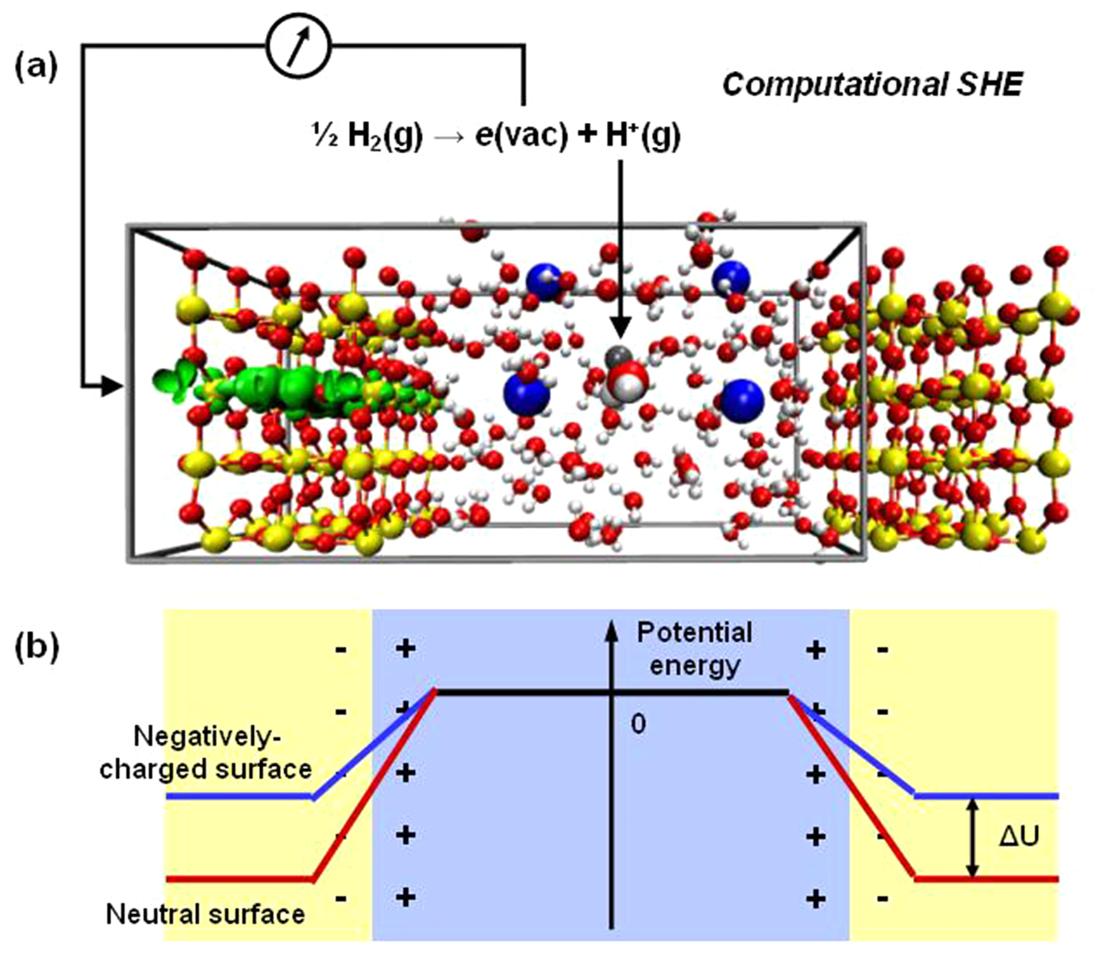 The electric double layer at a rutile TiO2 water interface modelled using density functional ...