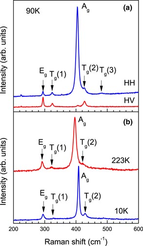 Raman studies of nearly half-metallic ferromagnetic CoS2 - IOPscience
