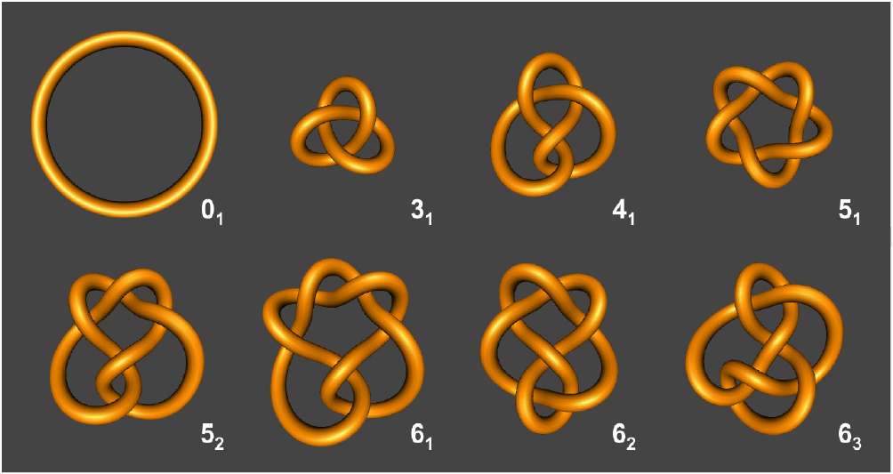 Molecular knots in biology and chemistry - IOPscience