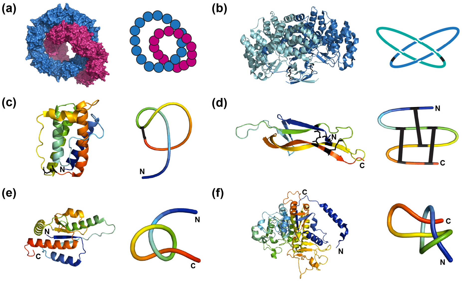 Molecular knots in biology and chemistry - IOPscience