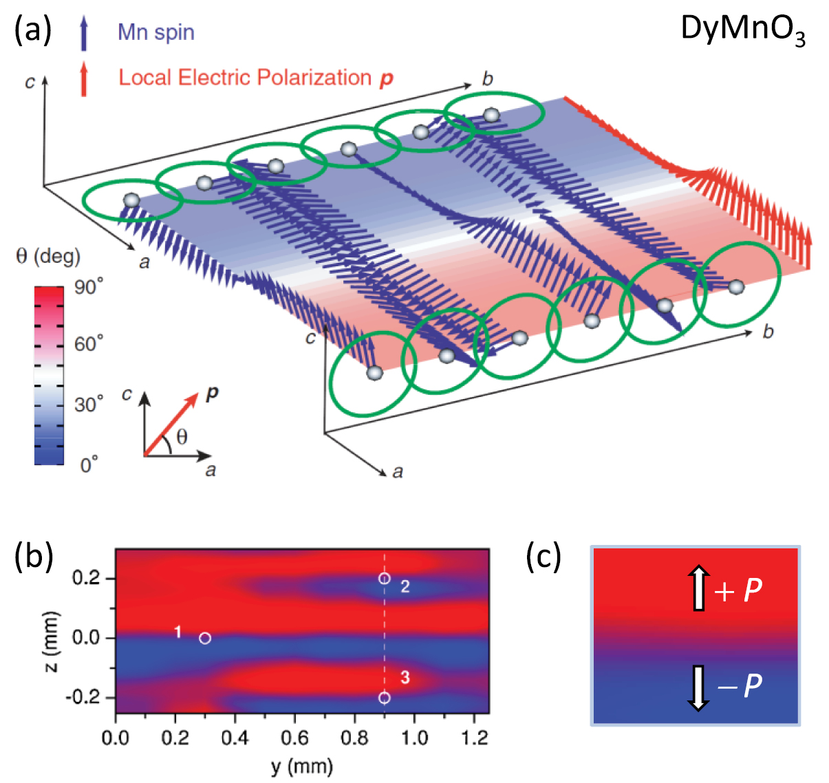 Functional domain walls in multiferroics - IOPscience