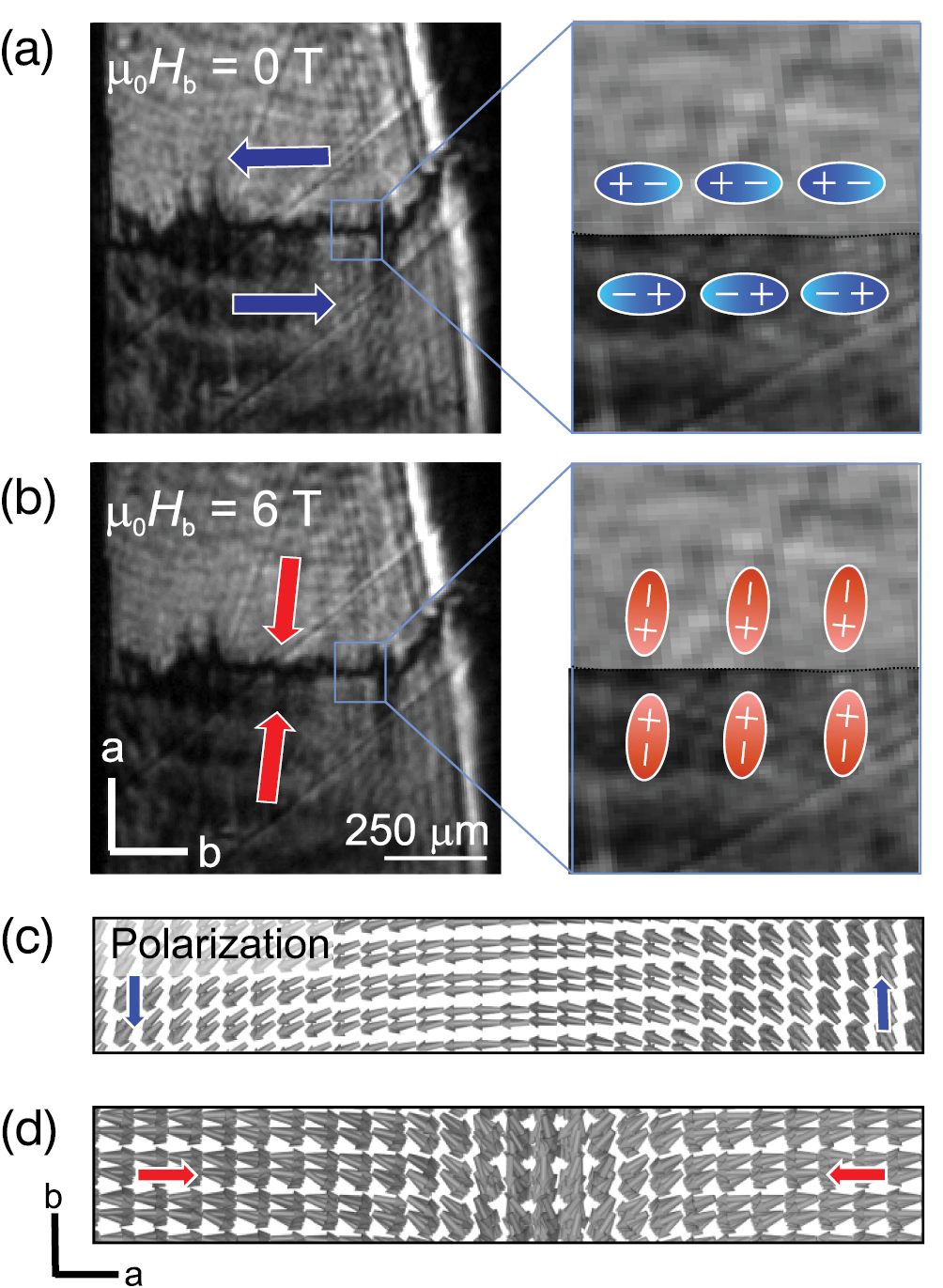 Functional domain walls in multiferroics - IOPscience