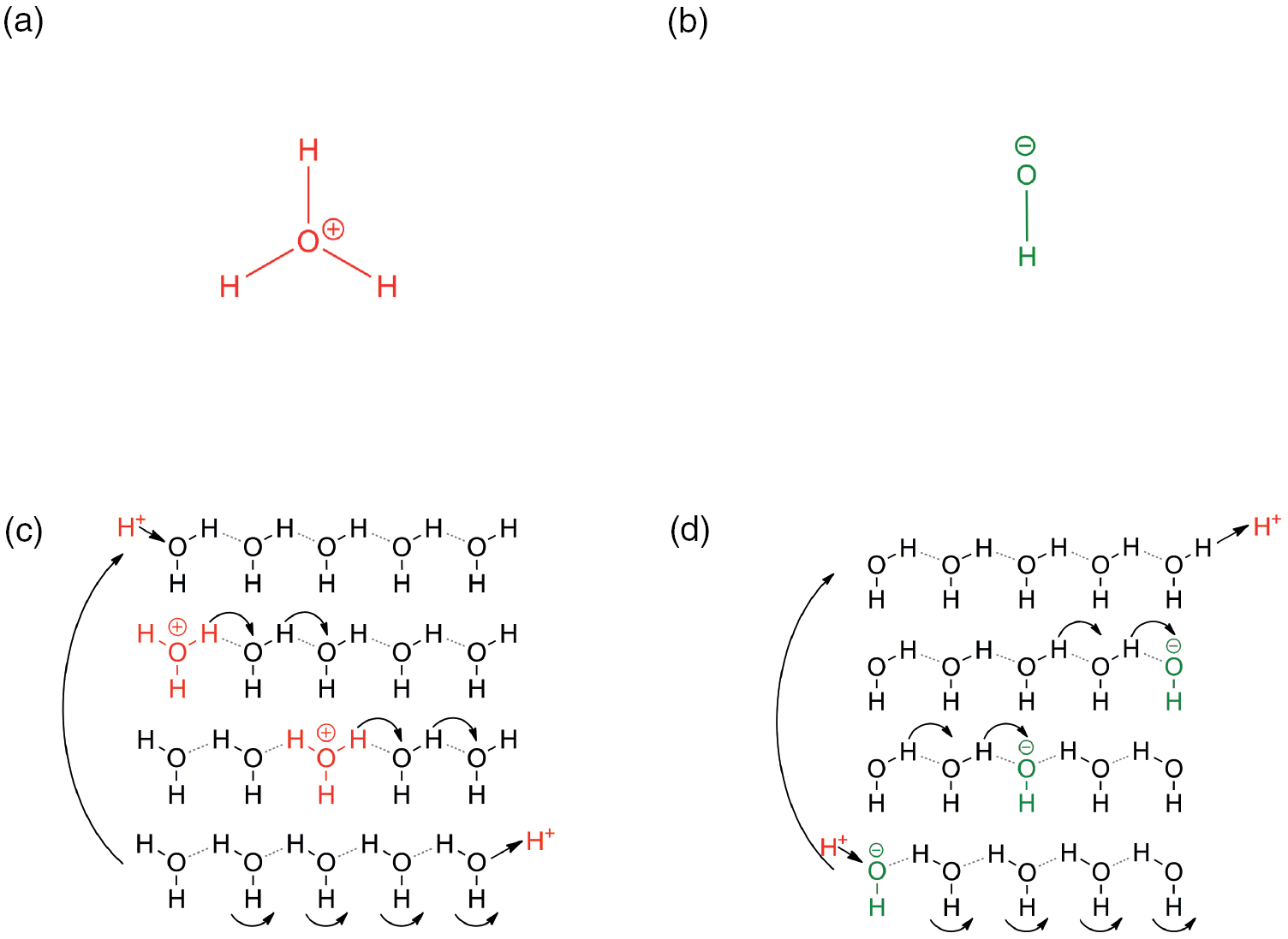 Grotthuss mechanisms: from proton transport in proton wires to ...