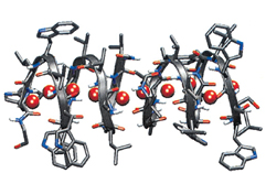 Grotthuss mechanisms: from proton transport in proton wires to ...