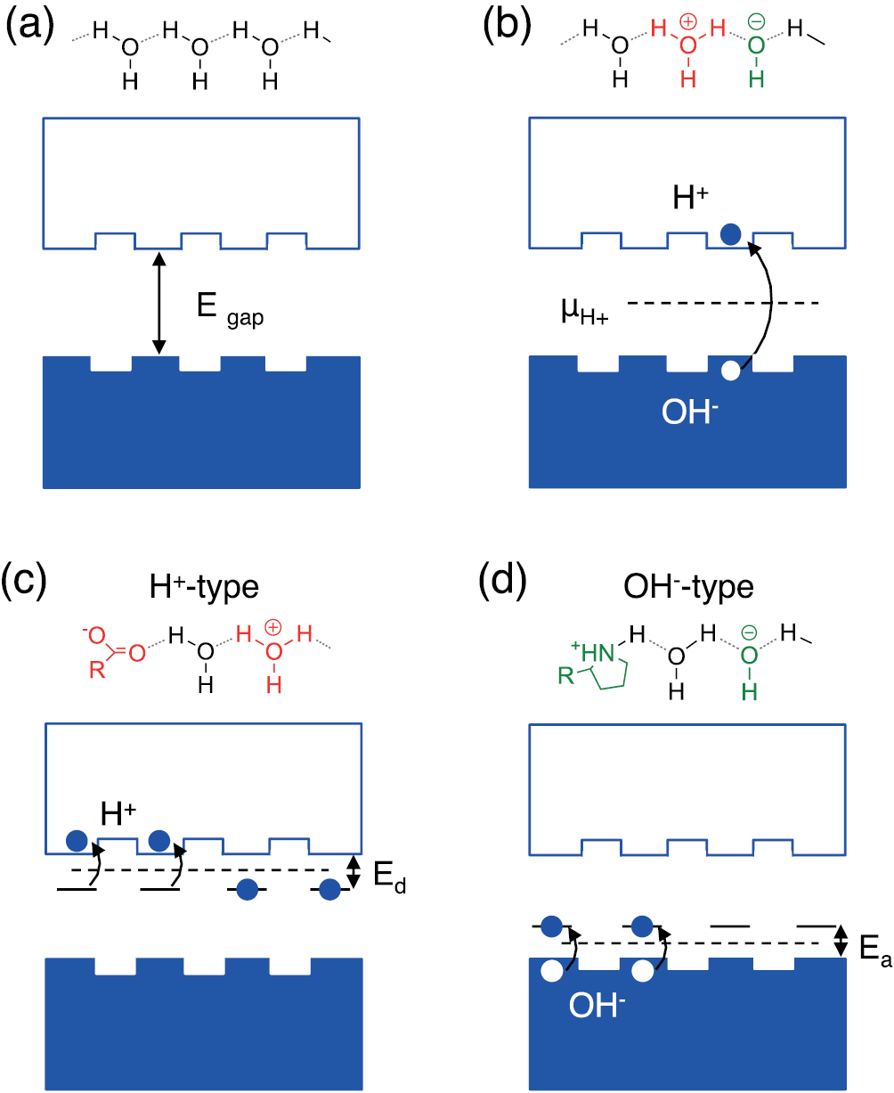 Grotthuss mechanisms: from proton transport in proton wires to ...