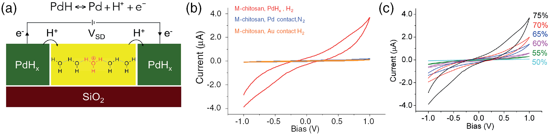 Grotthuss mechanisms: from proton transport in proton wires to ...