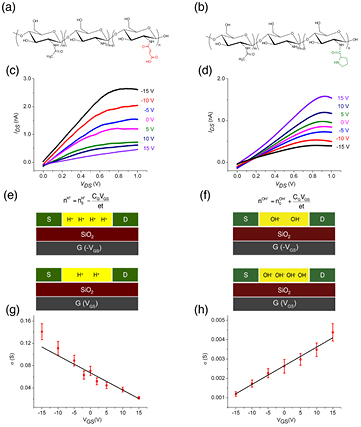 Grotthuss mechanisms: from proton transport in proton wires to ...