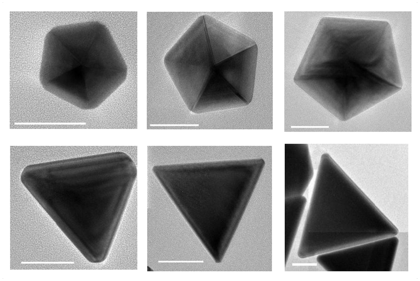 Nanoparticle shape, thermodynamics and kinetics - IOPscience