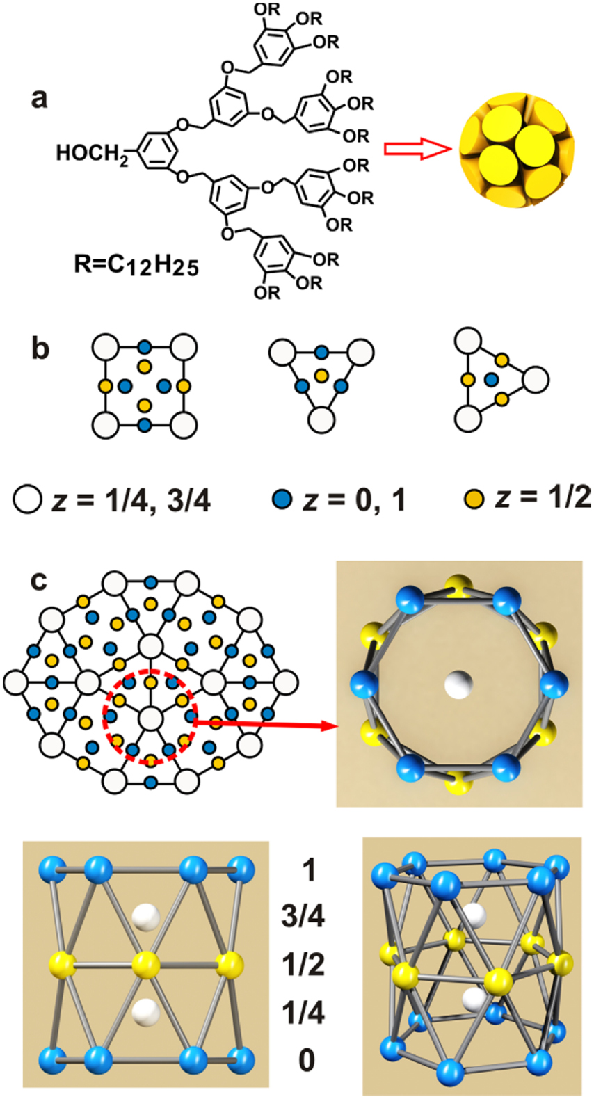 Direct AFM observation of individual micelles, tile decorations and ...