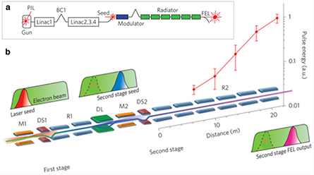 Ultrafast magnetodynamics with free-electron lasers - IOPscience