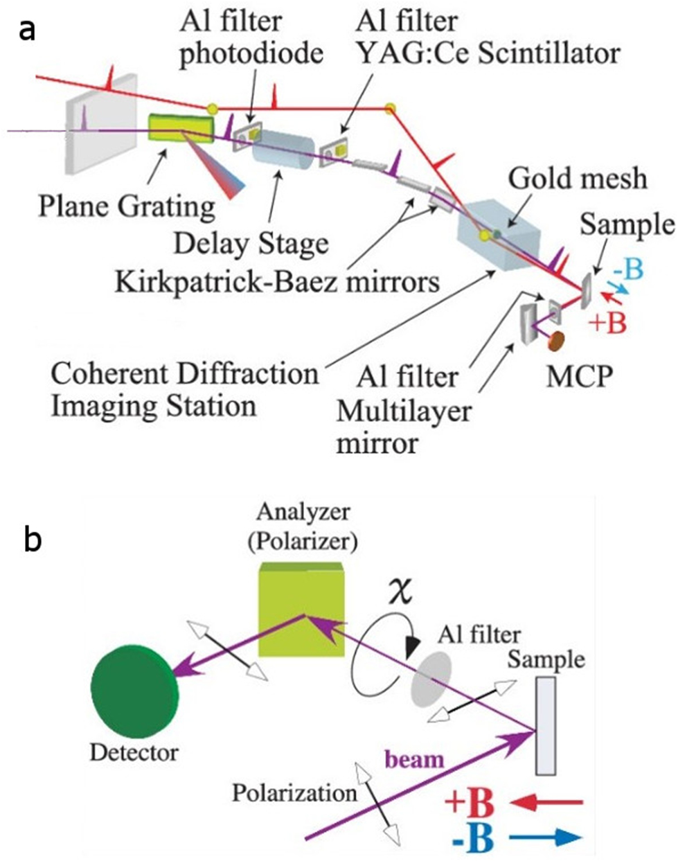 Ultrafast magnetodynamics with free-electron lasers - IOPscience