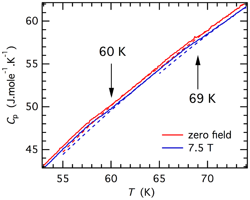 Ferroelasticity, anelasticity and magnetoelastic relaxation in Co-doped ...