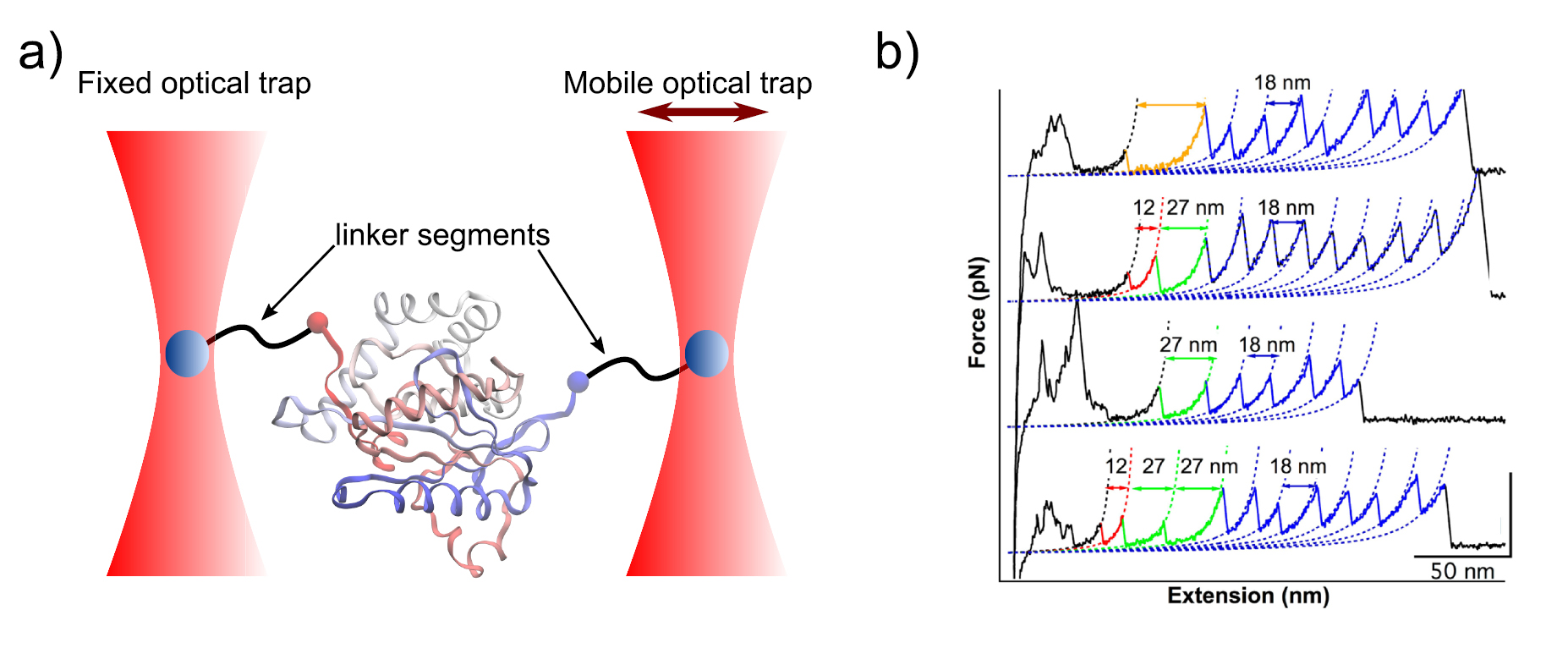 Computational methods in the study of self-entangled proteins: a ...