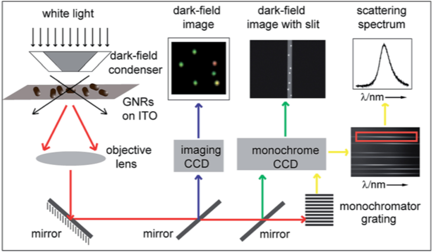 Dark-field spectroscopy: development, applications and perspectives in ...
