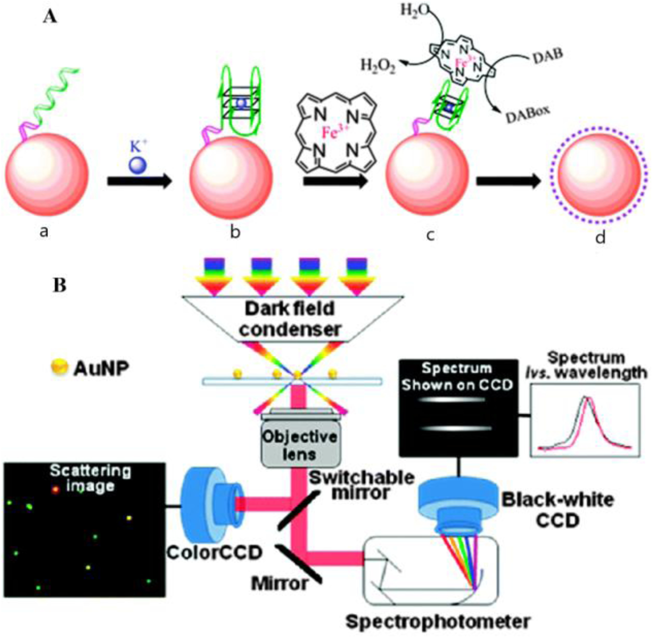 Dark-field spectroscopy: development, applications and perspectives in ...