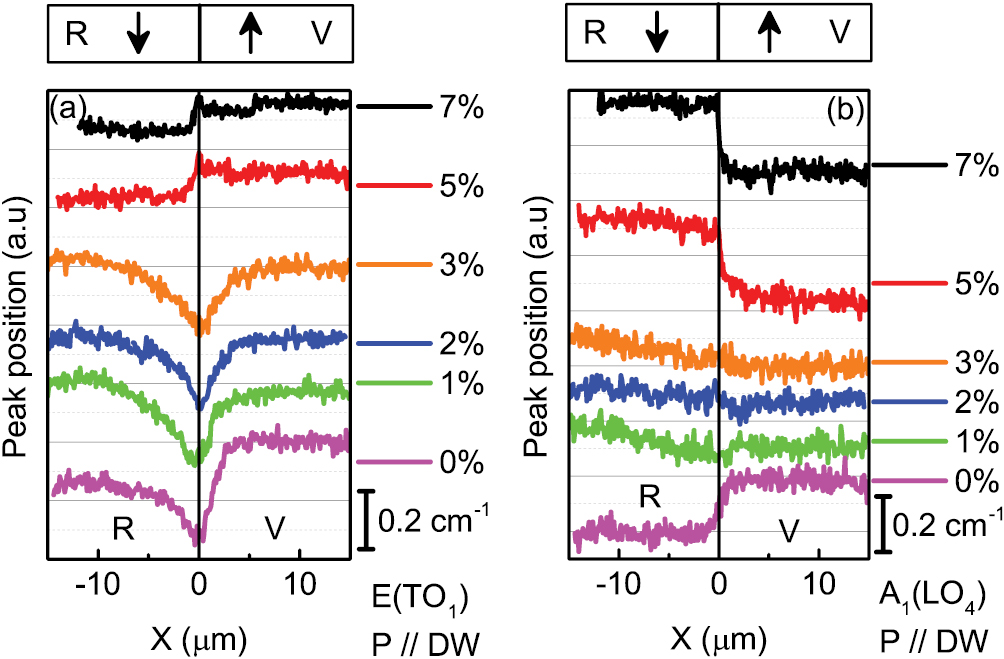 Optical studies of ferroelectric and ferroelastic domain walls - IOPscience