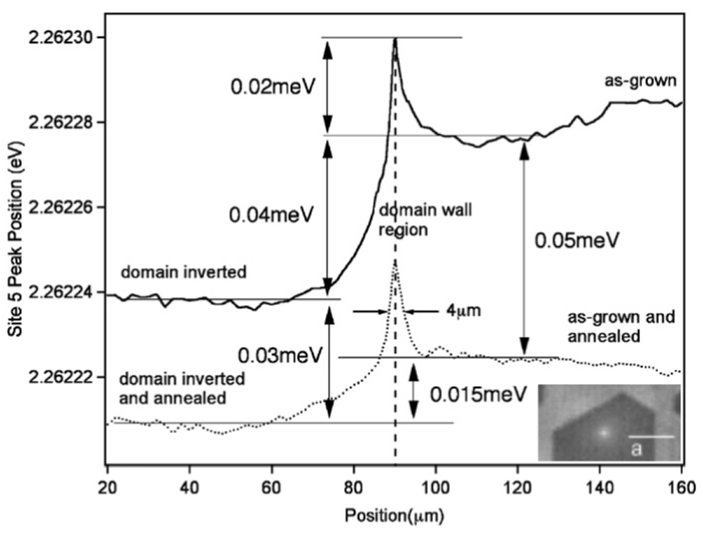 Optical studies of ferroelectric and ferroelastic domain walls - IOPscience