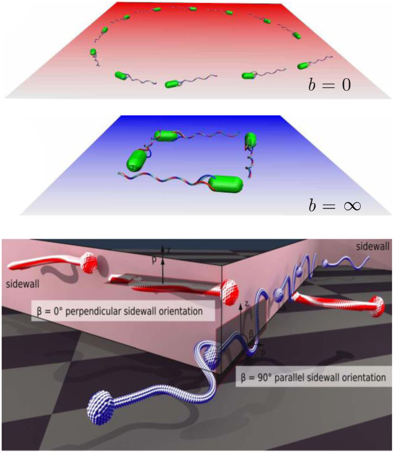 The 2020 motile active matter roadmap - IOPscience