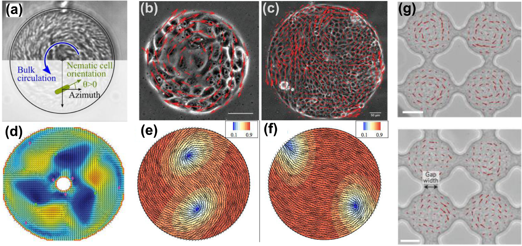 The 2020 motile active matter roadmap - IOPscience
