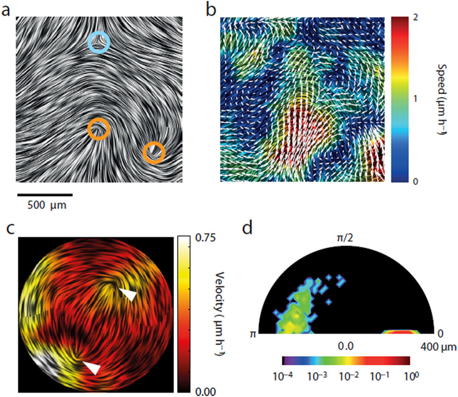 The 2020 motile active matter roadmap - IOPscience